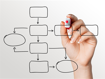 What Is Branching Logic? Simple Explanation | QPoint